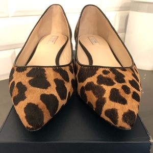 Cole Haan | Shoes | Cole Haan Vesta Leopard Flat | Poshmark
